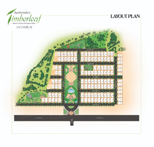 Timberleaf – Suchirindia